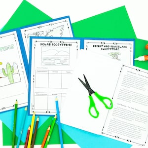 Ecosystems & Biomes Foldable Accordion Activity - Etsy