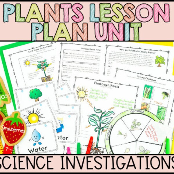 Plant Photosynthesis Worksheet - Etsy