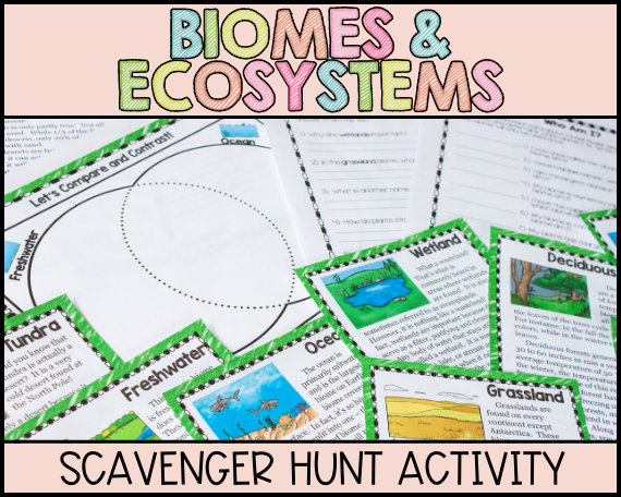 Ecosystems Scavenger Hunt Printable & Digital - Etsy