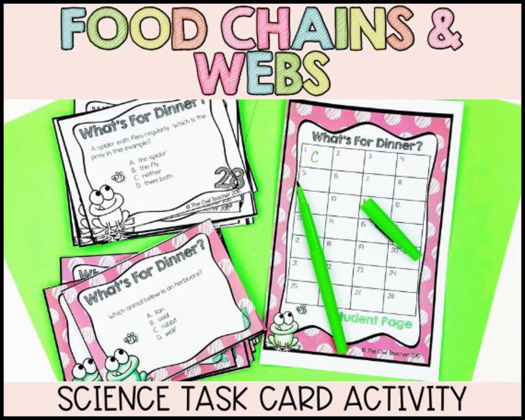Food Chains & Food Webs Task Cards for 3rd Grade Energy Flow and ...