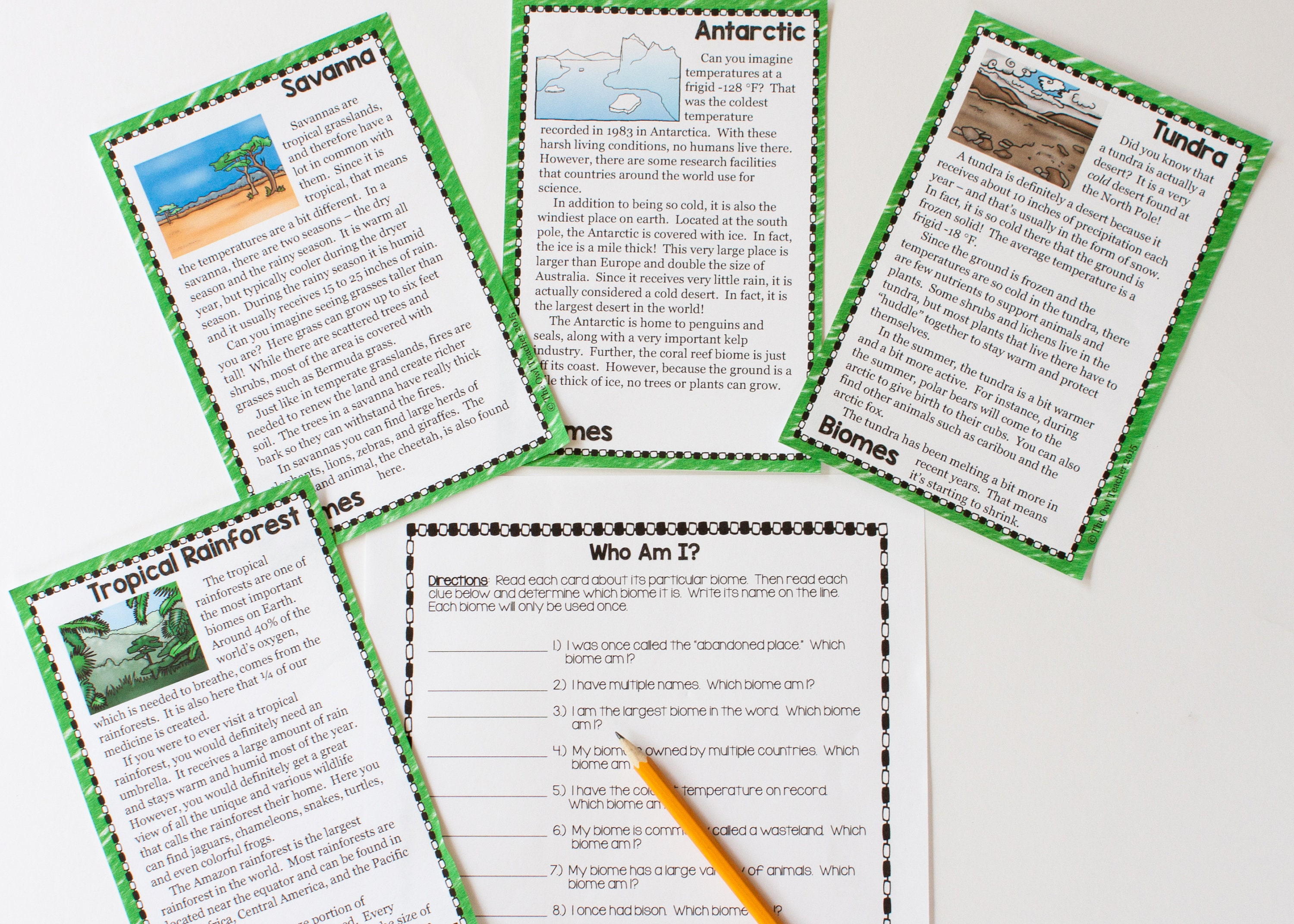 Ecosystems Scavenger Hunt Printable & Digital - Etsy