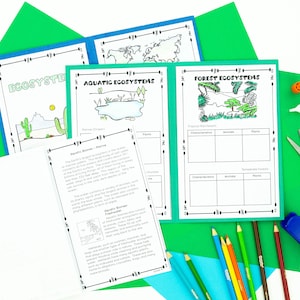Ecosystems & Biomes Foldable Accordion Activity - Etsy