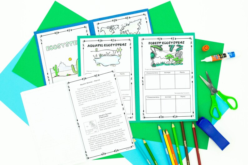 Ecosystems & Biomes Foldable Accordion Activity - Etsy