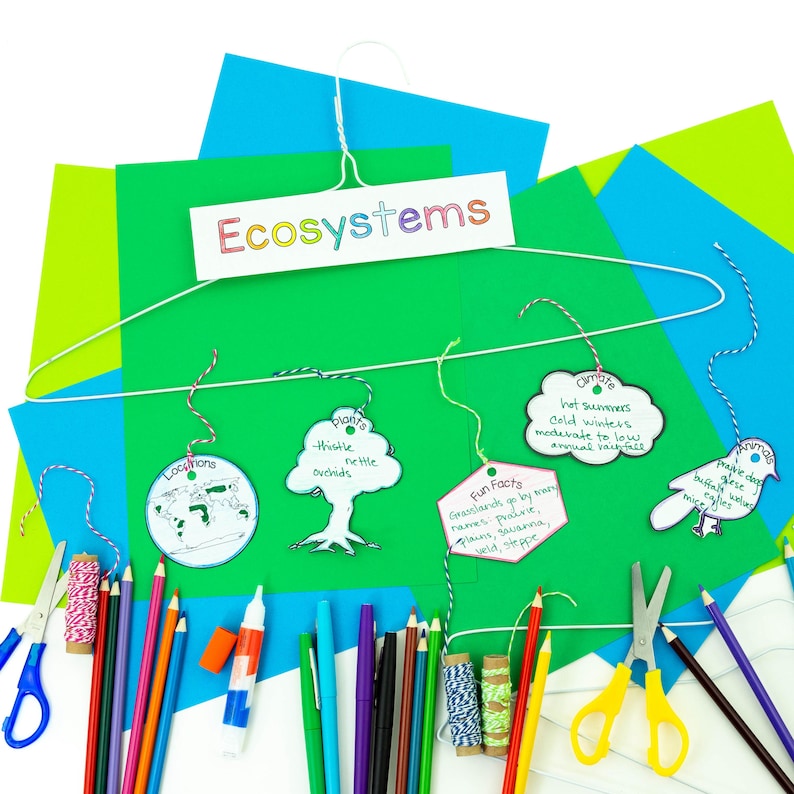 Ecosystems and Biomes Project Mobile and Activity Interactive Hands-on ...