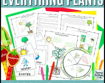 Parts of a Plant - Etsy