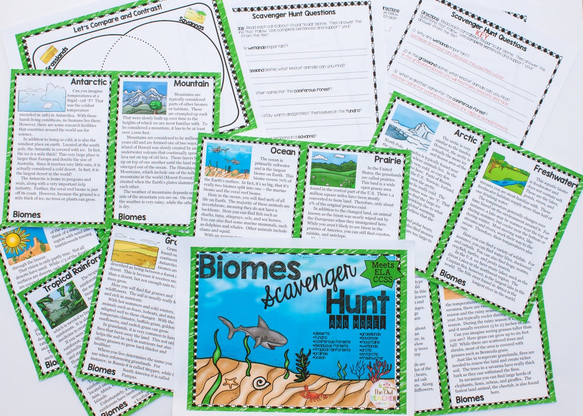 Ecosystems Scavenger Hunt Printable & Digital - Etsy