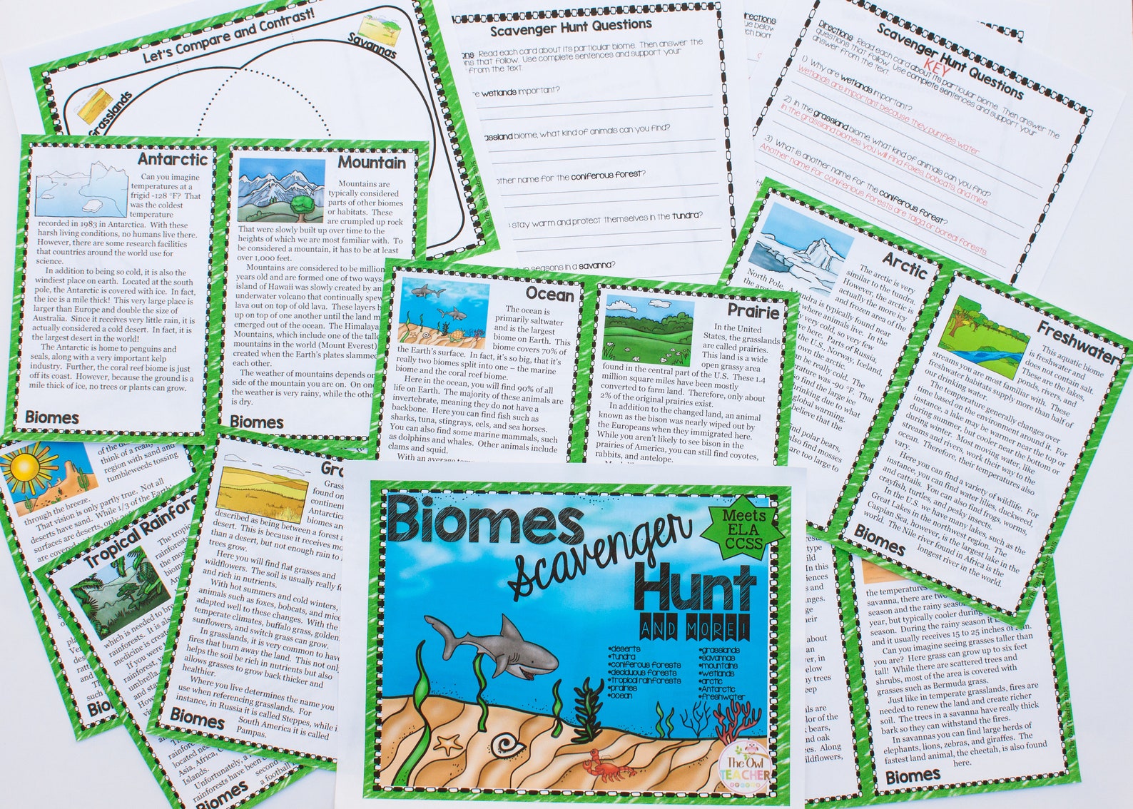 Ecosystems Scavenger Hunt Printable & Digital - Etsy