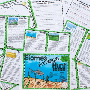 Ecosystems Scavenger Hunt Printable & Digital - Etsy