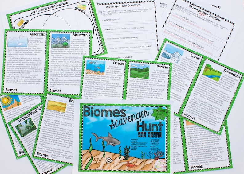 Ecosystems Scavenger Hunt Printable & Digital - Etsy