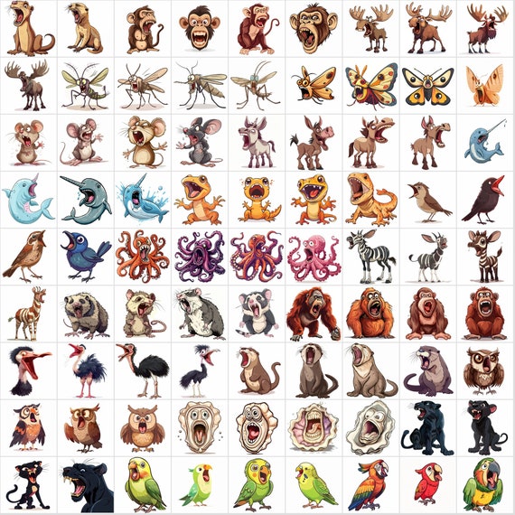 Angry Animals HD 2018 Angry Wallpapers | Peakpx