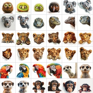 Peek-a-boo Animals! 460 Transparent PNG & JPG Graphics - Etsy