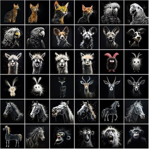 500 Chalk Animal Illustrations High-resolution JPG, Commercial License ...