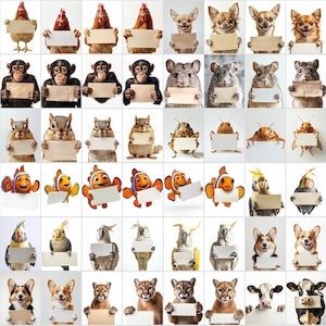 800 Adorable Animals With Signs: High-res Commercial Use Image - Etsy