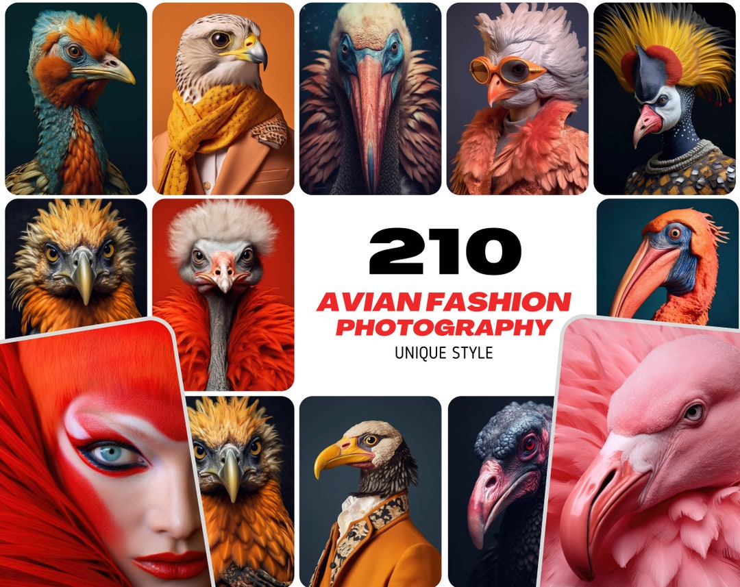 Colourful High-resolution Avian Fashion Photography Pngs - Commercially ...