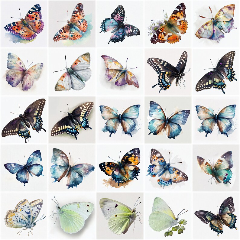 Watercolor Butterfly Clipart Bundle: 170 PNG Images (digital Download ...