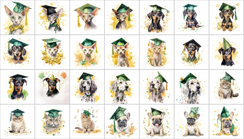 Watercolour Graduation Dogs and Cats Illustrations - Etsy