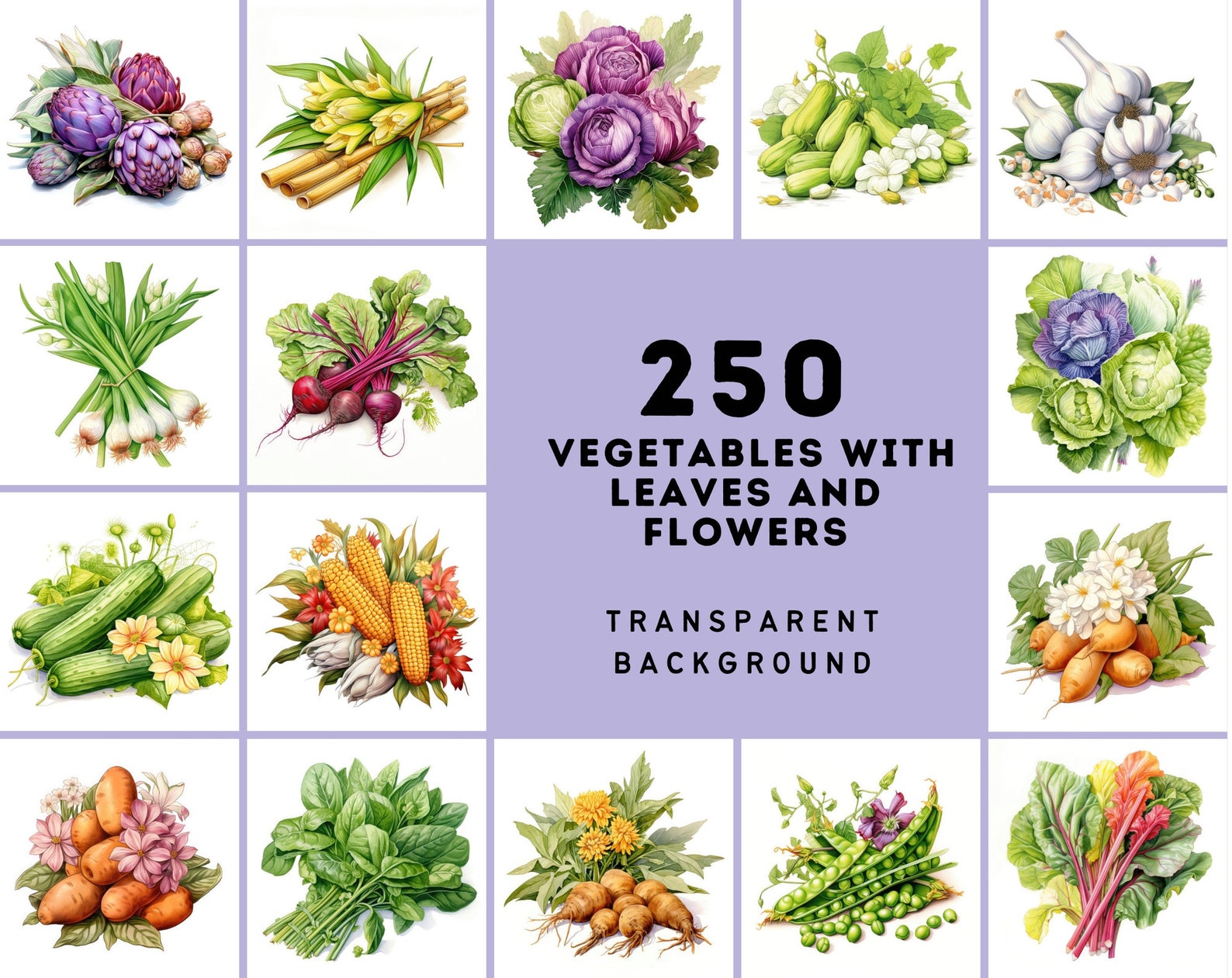 Colorful Vegetable Images With Flowers & Leaves - High Resolution PNG ...