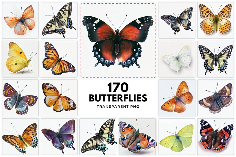 Watercolor Butterfly Clipart Bundle: 170 PNG Images (digital Download ...
