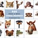 Peek-a-boo Animals! 460 Transparent PNG & JPG Graphics - Etsy