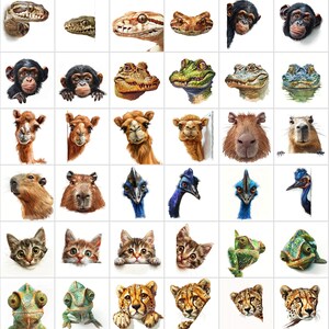 Peek-a-boo Animals! 460 Transparent PNG & JPG Graphics - Etsy