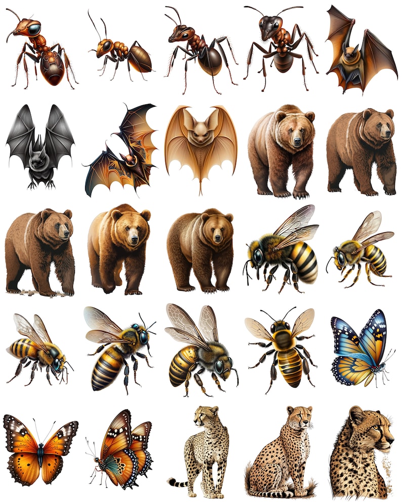 Wildlife Animal Clipart: 230 Transparent PNG Graphics, Commercial Use ...