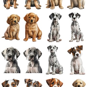 120 PNG Sublimation Puppies, Transparent PNG With Dogs, PNG Photoshop ...