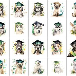 Watercolour Graduation Dogs and Cats Illustrations - Etsy