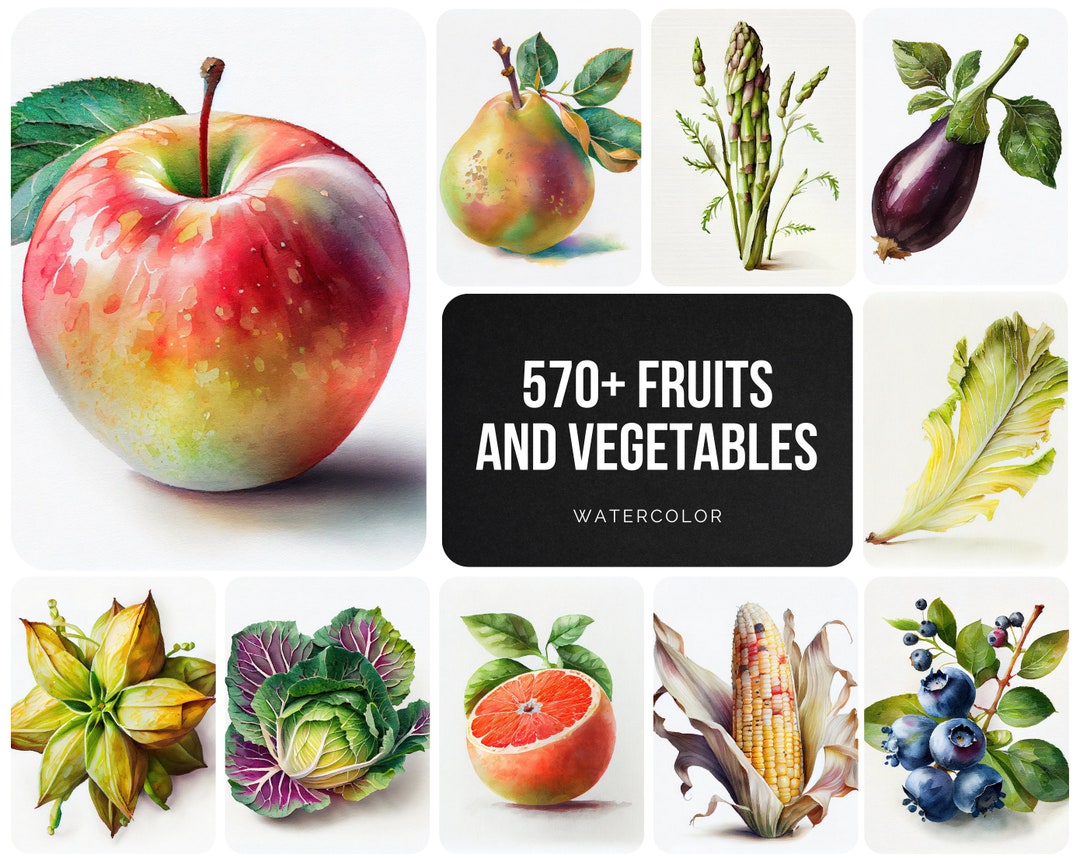 570 Vibrant Watercolor Fruits and Vegetables Bundle for Commercial Use ...