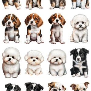120 PNG Sublimation Puppies, Transparent PNG With Dogs, PNG Photoshop ...