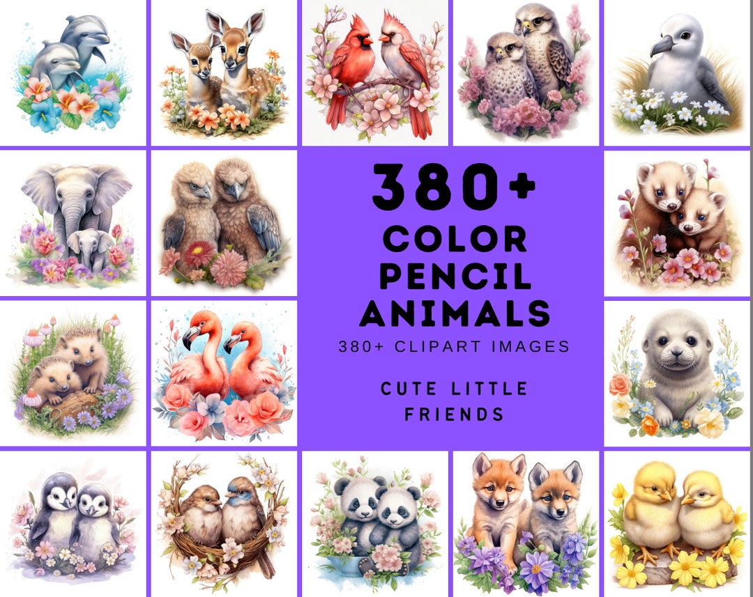 Baby Animal Color Pencil Sketch Clipart: 380+ High-res Jpgs (commercial ...