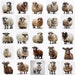 Sheep Breeds Clipart, 180+ PNG Images (digital Download) - Etsy