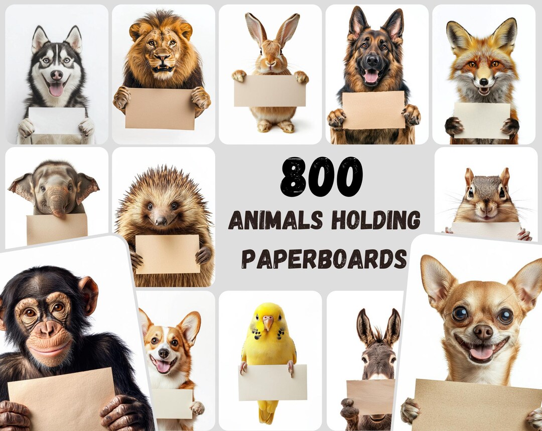 800 Adorable Animals With Signs: High-res Commercial Use Image - Etsy