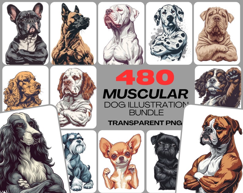 Muscular Dog Illustration Bundle - 480 PNG & JPG Images With Commercial ...