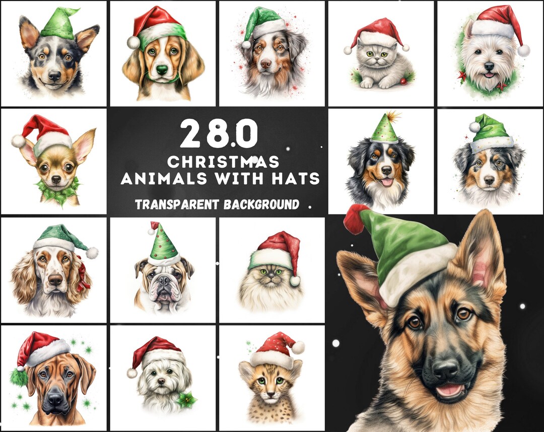 280 Animal Santa Hat Pngs: Dogs Cats Christmas Clipart - Etsy