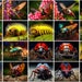 Macro Insect Artwork: High-res Image Set With Business Use License - Etsy