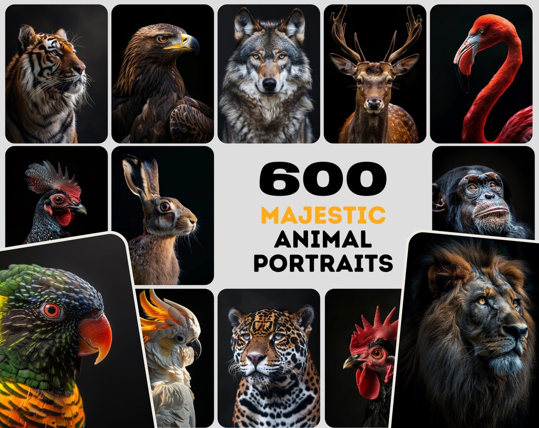 600 Majestic Animal Portraits - High-resolution Images With Commercial ...