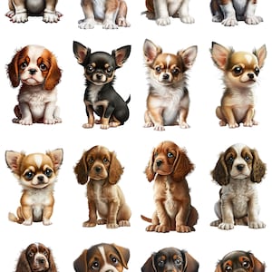 120 PNG Sublimation Puppies, Transparent PNG With Dogs, PNG Photoshop ...