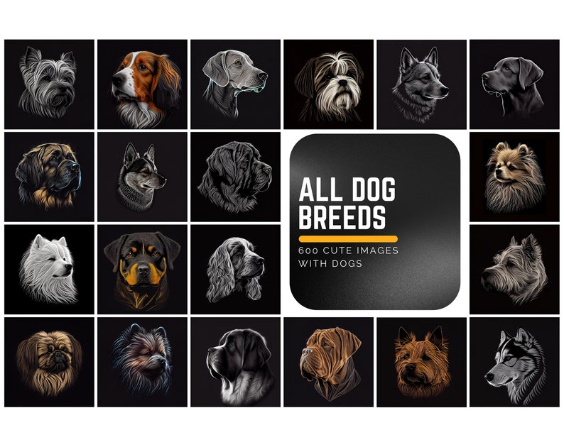 600 Dog Breeds Images: Elegant Dark Background (digital Download) - Etsy