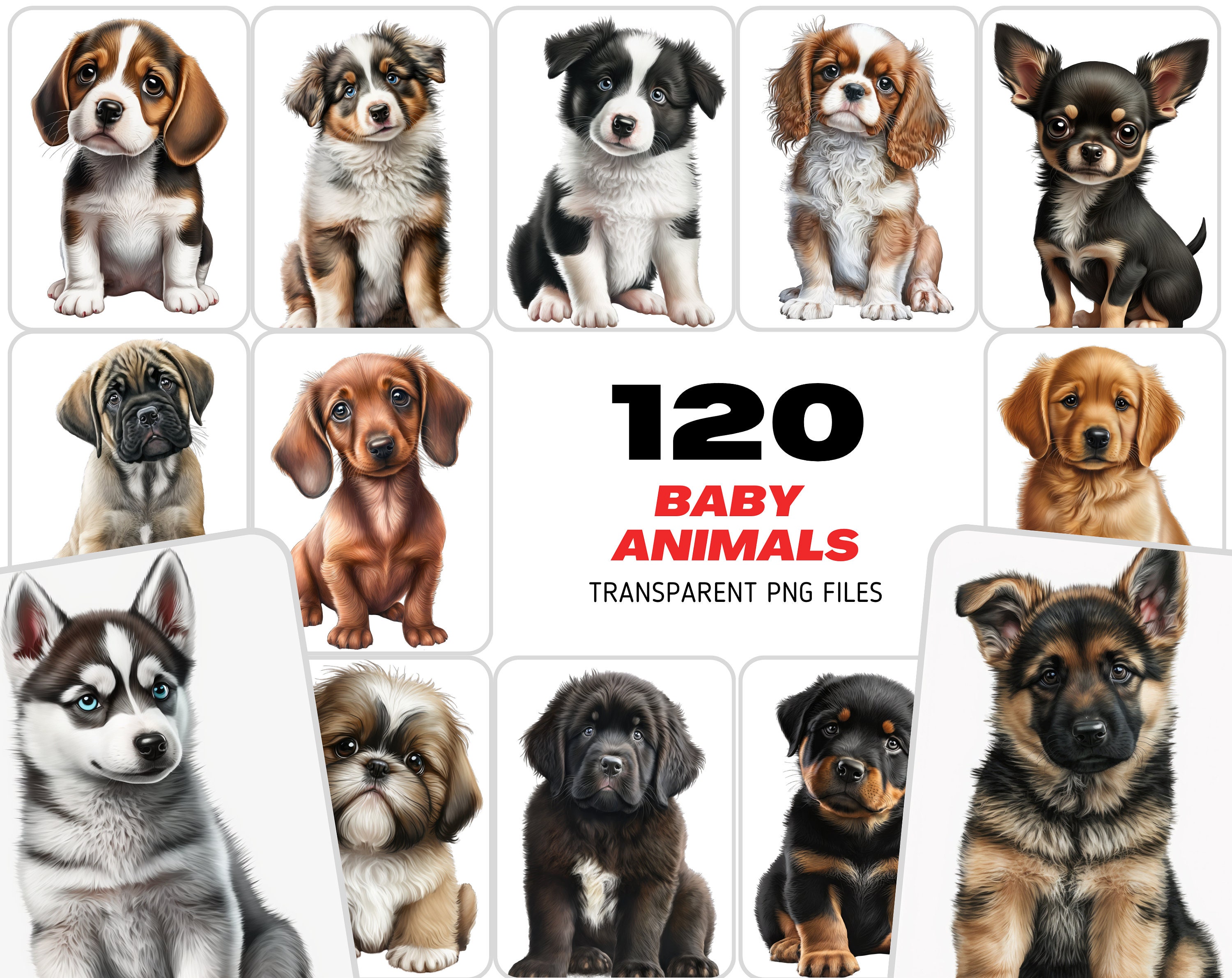 120 PNG Sublimation Puppies Transparent PNG With Dogs PNG - Etsy