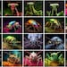 Macro Insect Artwork: High-res Image Set With Business Use License - Etsy