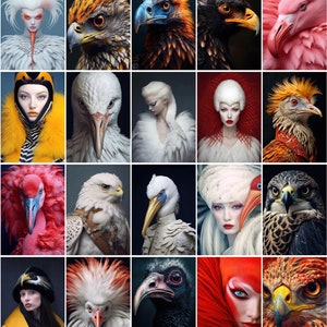 Colourful High-resolution Avian Fashion Photography Pngs - Commercially ...