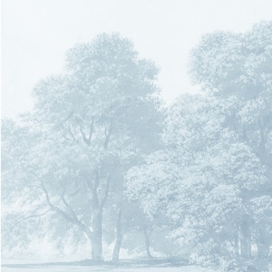 Subtle Light Blue Wallpaper, Watercolor Wall MURAL. Landscape With ...