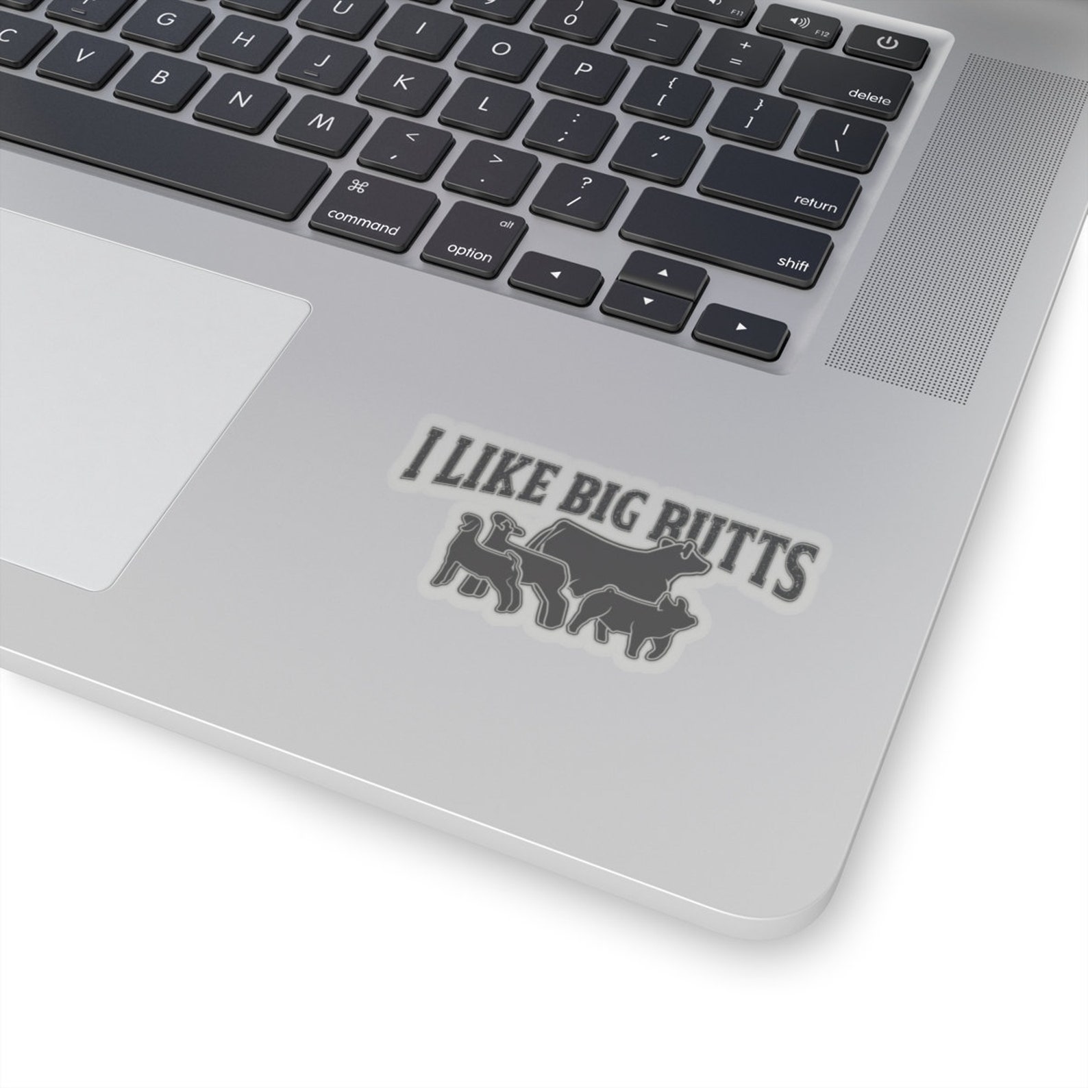 Show Stock Sticker, Laptop Sticker, Water Bottle Sticker, Livestock ...