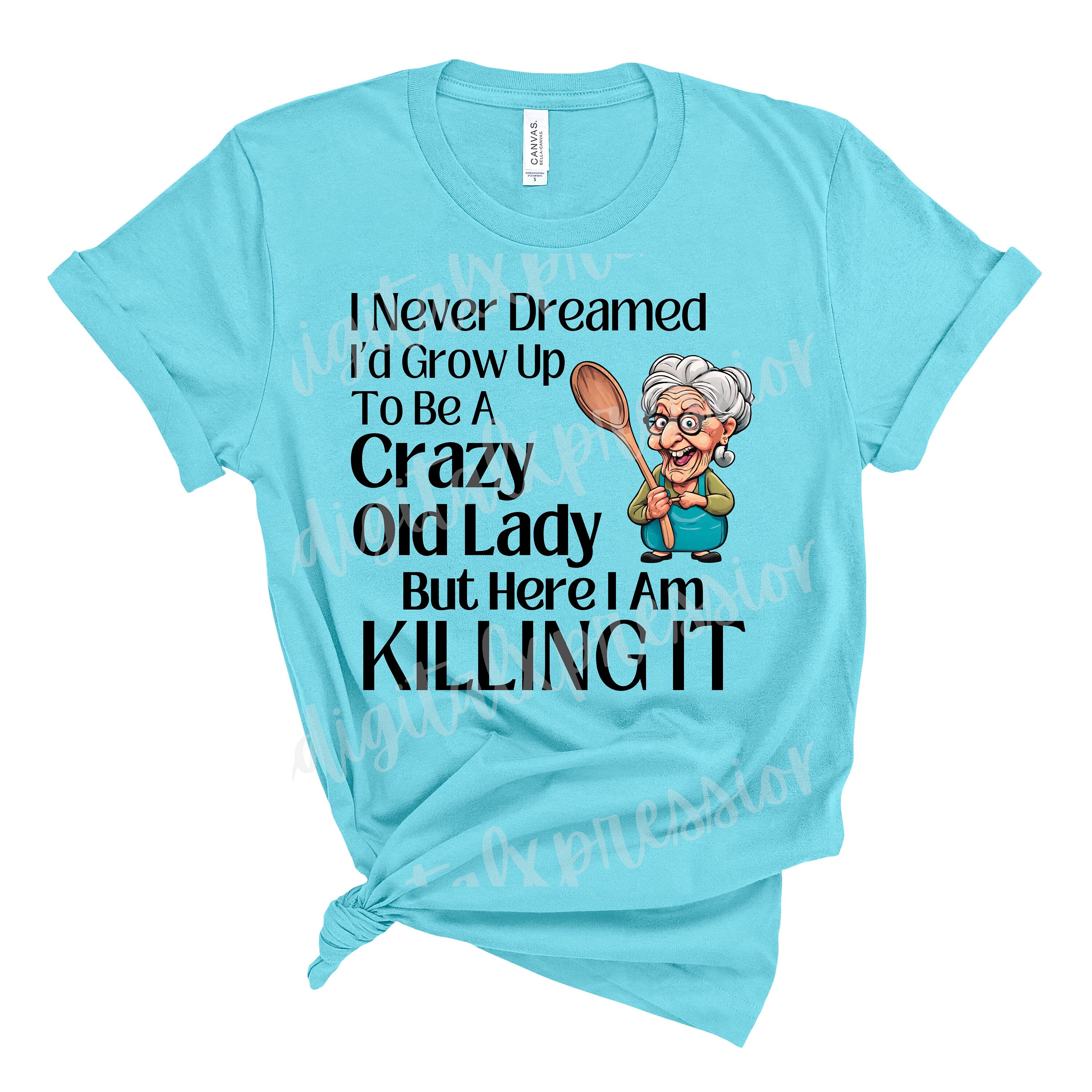 Womens Funny Tshirt Funny Old Lady Shirt Womens Sarcastic T Shirt ...