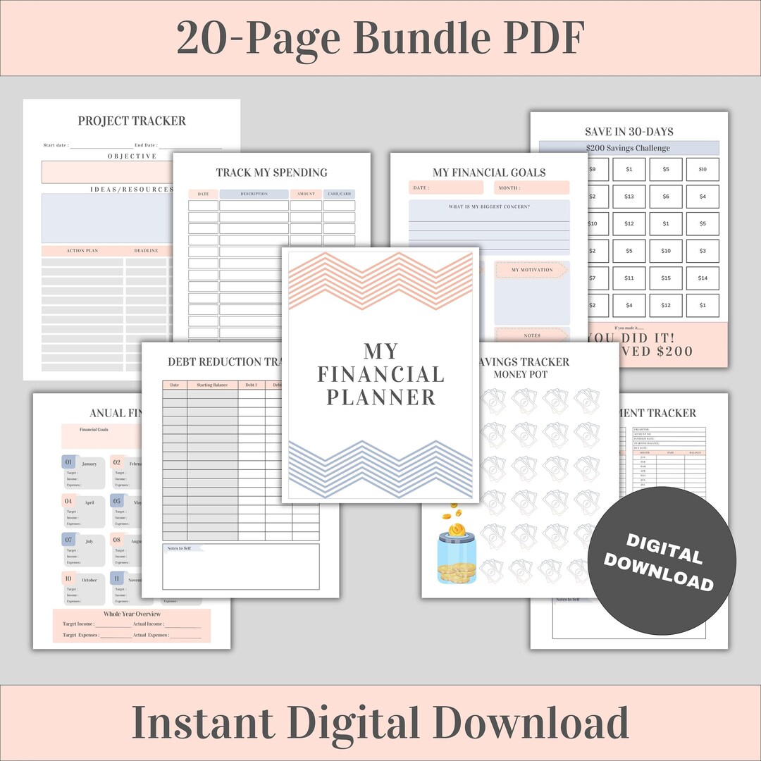 Financial Budget Organizer Worksheet Financial Budget Organizing Spread ...