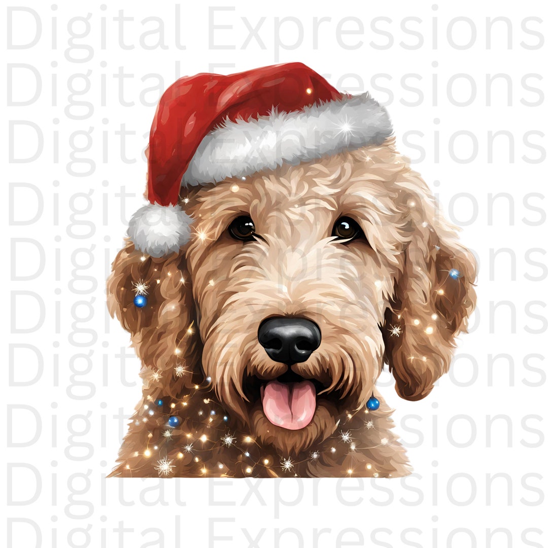 Set of 2 Christmas Goldendoodle PNG Doodle Graphic Goldendoodle Design ...