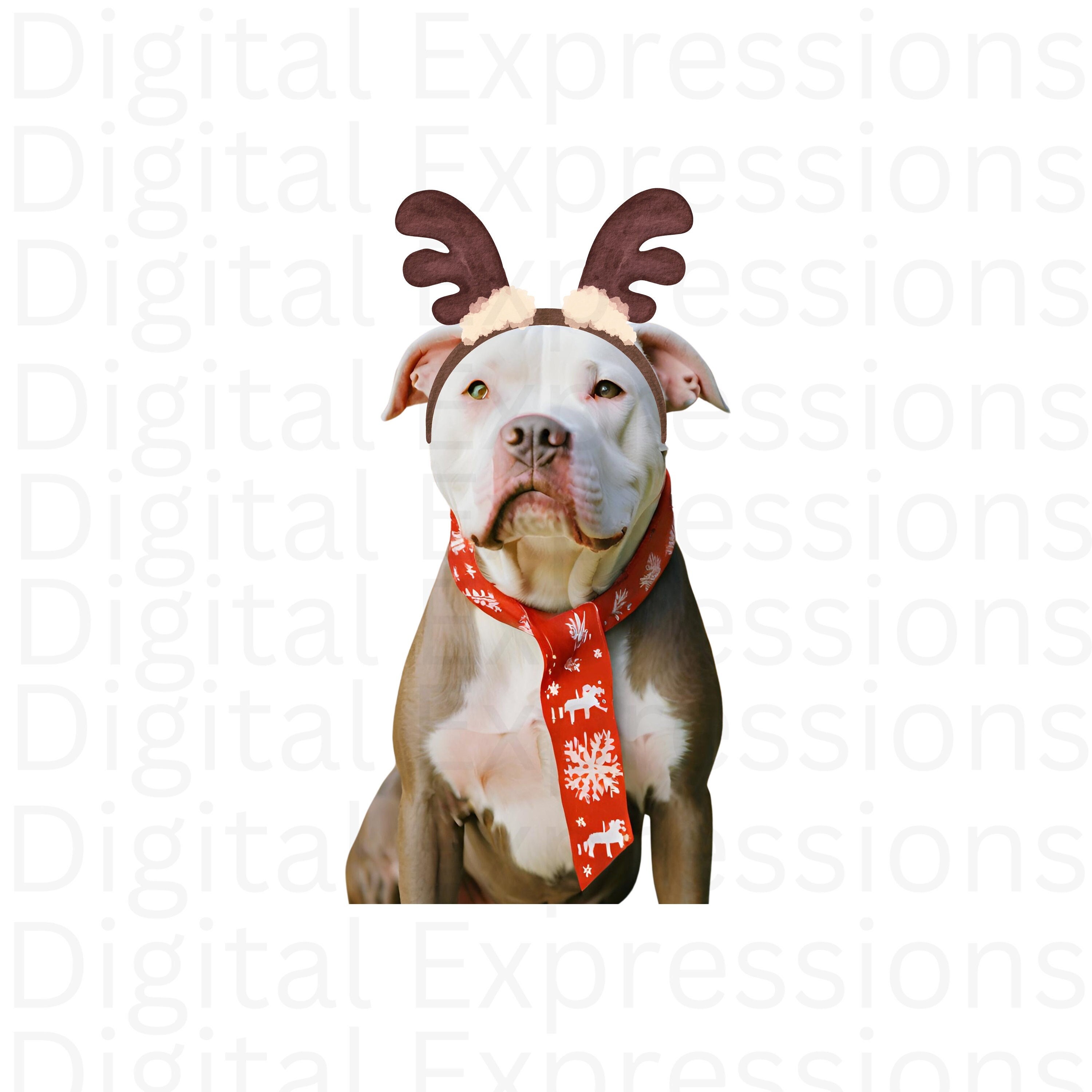 Pit Bull Christmas PNG Christmas Dog Graphic Christmas Design Pit Bull ...