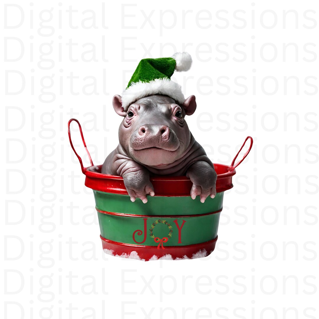 2 Christmas Hippopotamus PNG Baby Hippo PNG Moose Graphic - Etsy