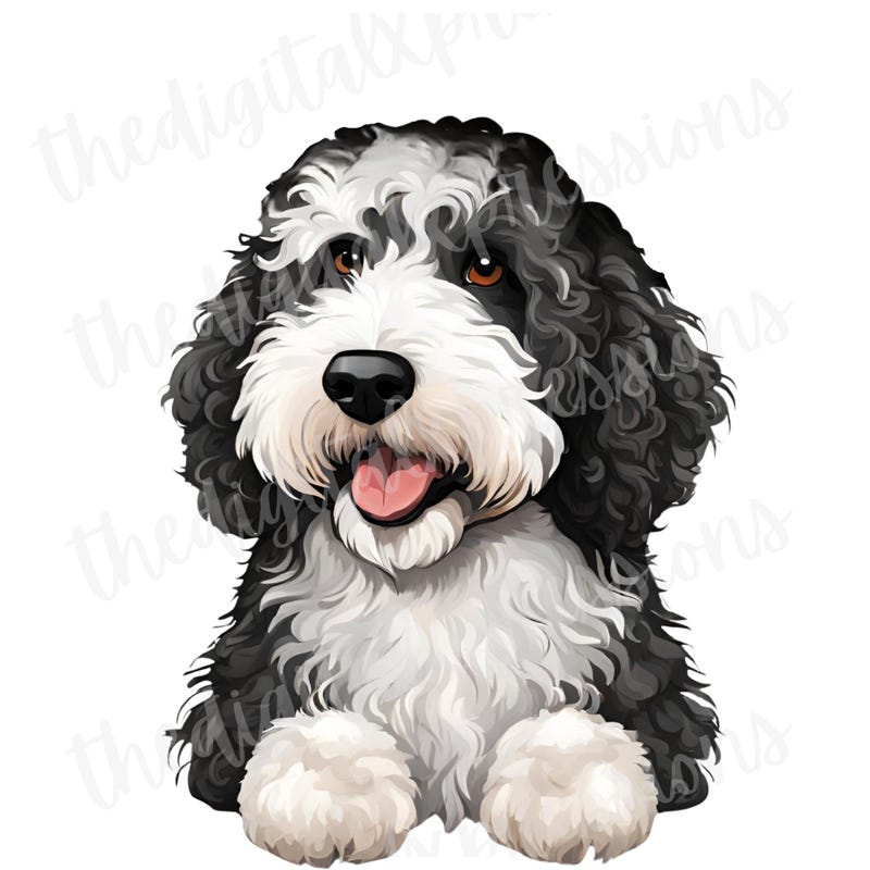 Sheepadoodle - Etsy