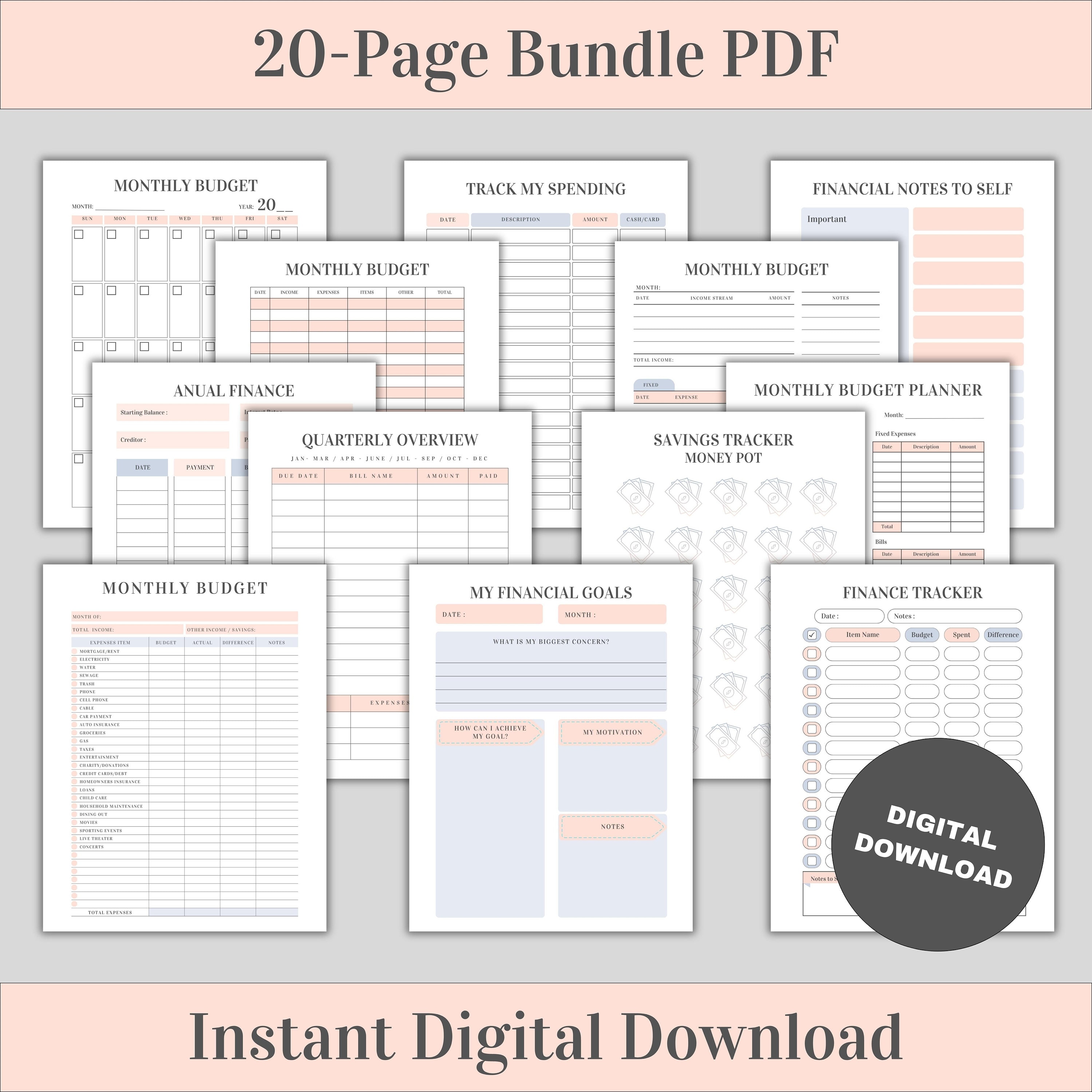 Financial Budget Organizer Worksheet Financial Budget Organizing Spread ...